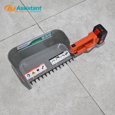 China Tea Leaf Picker Dl-4CD-35N DELI Tea Harvester With and Lithium Battery For Tea Picking for sale