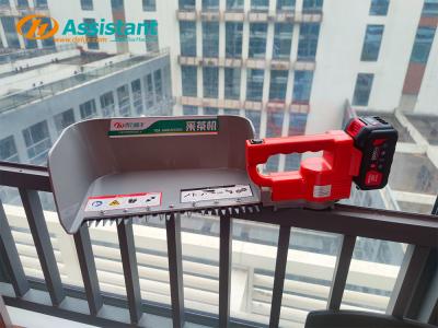 China Tea Leaf Picker Dl-4CD-35N DELI Tea Harvester With and Lithium Battery For Tea Picking for sale