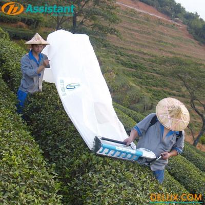 Cina DL-4C-A Mini Semi-automatica Tasca da zaino macchina di raccolta del tè per la potenza del trattore HP 0,7 0,8 HP in vendita
