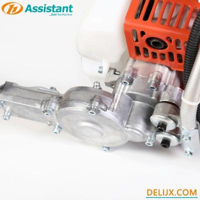 China Electric Cordless Grass Shear Hedge Trimmer 3CX-250A for Food Beverage Needs for sale