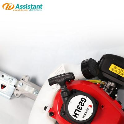 Cina Risparmio energetico 3CX-750 Motore a benzina Teaplantage Hedge Machine per foglie di tè in vendita