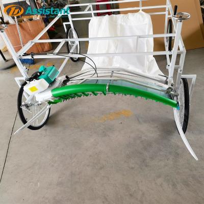 Cina DL-4CH-1210W Rovere per il tè a doppia miniera raccoglitore curvo Perfetto per le esigenze delle piccole imprese in vendita