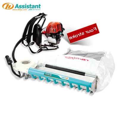 Cina GX35 Macchina per la raccolta del tè a 4 tempi DL-4C-H3 Piccola mini-raccettatrice di foglie di tè in vendita
