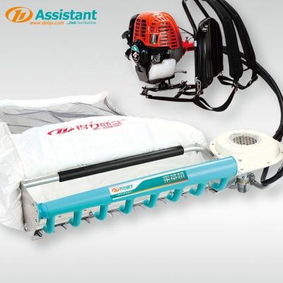 Cina GX35 Macchina per la raccolta del tè a 4 tempi DL-4C-H3 Piccola mini-raccettatrice di foglie di tè in vendita