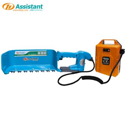 Cina Potenza del motore 200W Ochiai Tea Harvester Motore Tea Plucker Machine Alta precisione in vendita