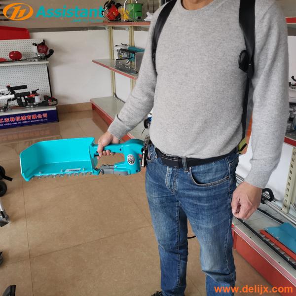 Quality Tea Harvester Green Tea Plucker Small Tea Leaf Cutting Machine for in Tea for sale