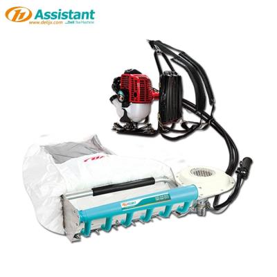 Cina Farms 2 Stroke 25.4CC Ochiai Tea Plucking Harvesting Machine con Mini DL-4C-Z elettrico portatile in vendita