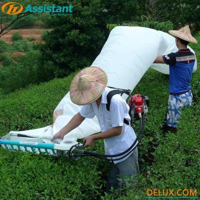 Cina Farms 2 Stroke 25.4CC Ochiai Tea Plucking Harvesting Machine con Mini DL-4C-Z elettrico portatile in vendita