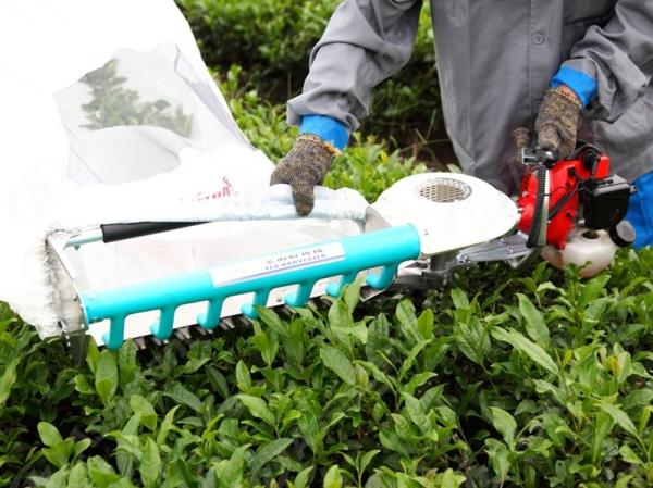 DL-4C-Z 2 Stroke 25.4CC Ochiai Tea Harvester Machine for Picking Tea Leaves on Farms