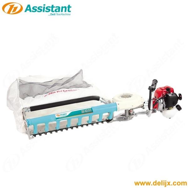 DL-4C-Z 2 Stroke 25.4CC Ochiai Tea Harvester Machine for Picking Tea Leaves on Farms