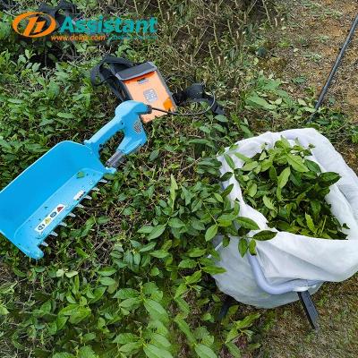 Cina Raccoglitore di foglie di tè Dl-4Cd-35 Raccoglitore di tè con tempo di lavoro di 10 ore e garanzia in vendita
