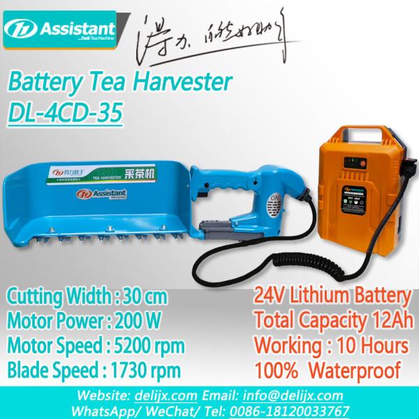 Quality Dl-4Cd-35 Battery Tea Harvester Handheld Type 1 Row 5200 RPM for Tea Plucking for sale