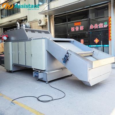 Cina DL-6CHL-CY40 Multifunzione Flip Plate Chain Plate Dryer e stufa ad aria calda Modello FP-300 in vendita