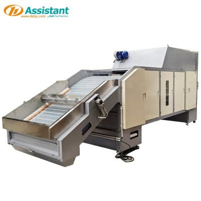 China Grande máquina de cozimento de chá 6050*2120*2230 mm 8-90 min Tempo de secagem para materiais alimentares de chá à venda