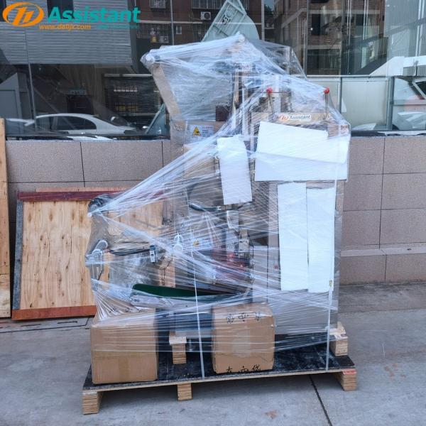 DL-LSDP-XBW Automatic Pouch With Hole Tea Packing Sachet Heat Seal Envelope Machine
