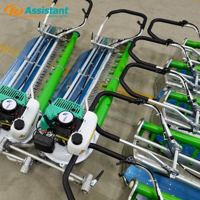 Cina DL-4CP-1210W La tua scelta per la raccolta di fiori di lavanda e foglie di stevia in vendita