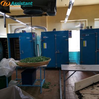 Cina 380v DL-CHZ-14B Macchina per la lavorazione del tè verde Mini asciugatrice di tè con 6 giri al minuto in vendita
