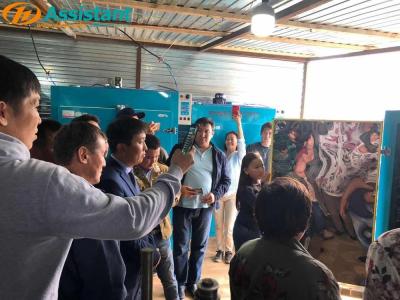 Cina 380v DL-CHZ-14B Macchina per la lavorazione del tè verde Mini asciugatrice di tè con 6 giri al minuto in vendita