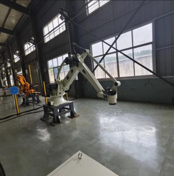 Quality Material Handling Robotic Arm Palletizer 180kg Industrial Palletizer for sale