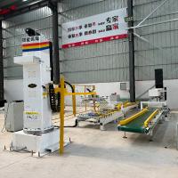 China Industrial Robot Arm Hand Palletizer Stacking Machine Fully Automatic for sale