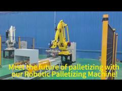 Smart Collaborative Robot Palletizer 180kg Gantry Robot Palletizer