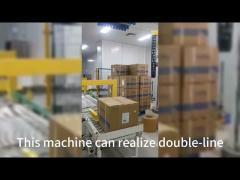 180 Rotation Robot Palletisers 4 Axes Robotic Case Palletiser