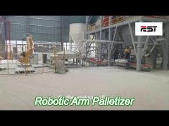 4 axis palletizing automation 380v 220v robotic case packer and palletizer