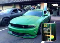 China Pearlescent 1K Acrylic Car Paint Touch Up Solid Color Quick Dry for sale