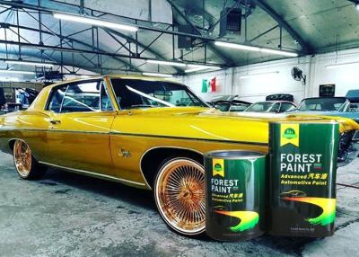 Cina l'automobile metallica 4L spruzza il prodotto chimico della riparazione del graffio della lacca dell'automobile della pittura resistente in vendita