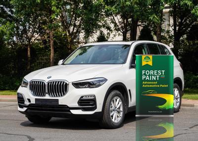 Cina Grey Automotive Epoxy Primer Spray d'insabbiamento facile può automobile dipingere l'iniettore del sigillatore in vendita