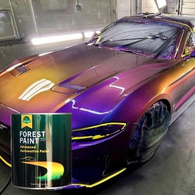 Cina L'anti automobile acrilica del graffio 2K dipinge l'uso per la riparazione di alta durezza FP2K-M2109292 dell'automobile in vendita