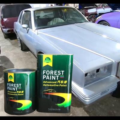 Cina automobile acrilica di 1L Tin Package 2K dipingere i grandi ordini FP2K-M2109294 di quantità in vendita