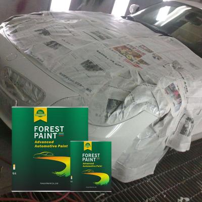 Cina Mica della perla di colore della pittura di ISO9001 2K multi del pigmento dell'automobile della pittura del camaleonte automatico di colori in vendita