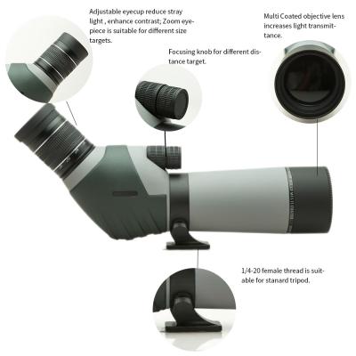 Cina Cannocchiali da osservazione in eccesso militare 20-60x60 riempiti di azoto per riprese a lungo raggio in vendita