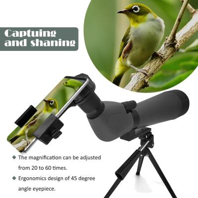 China 20X60X80 Multi Coated Optics Spotting Scope For Bird Watching for sale