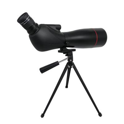 중국 45 급 각을 이루는 접안경과 20-60x80 버드링 반점 유효범위 판매용