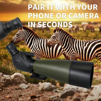 China 20-60 X 80 Porro Prism Spotting Scope Waterproof for Bird Watching Target Shooting for sale