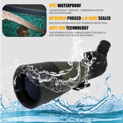 China 20-60 X 80 Porro Prism Spotting Scope Waterproof for Bird Watching Target Shooting for sale