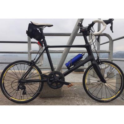 China 7-tiger carbon road mini bike 20 inch frame bmx road bicycle 451 frame 480 mm size 3k weave gloss   BSA bb for sale