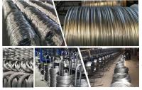 China Prices 2mm High Carbon Galvanized Iron Wire for Construction Materials Processing Service for sale