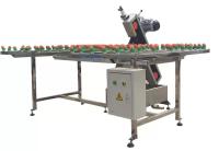 China Glass Straight Edging Machine 1.5kw 380V Manual Small Belt Grinding for Glass Edges for sale