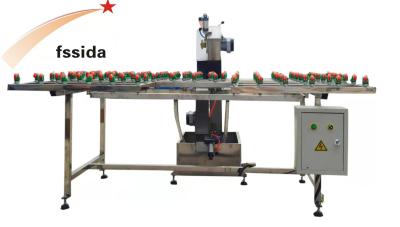 Cina 39 m/min Cintura abrasiva velocità vetro bordo lucidante macchina per il rapporto di testo meccanico in vendita