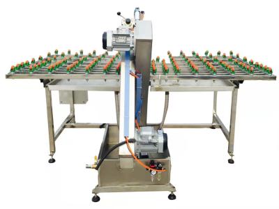 Cina Foshan Star Manual Glass Edge Polishing Machine Glass Edging Machine con potenza di 2,2 kW in vendita