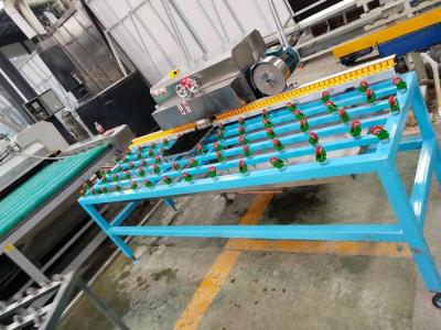 Cina Lavatrice di vetro orizzontale per tagliare e lucidare velocemente Dimensioni 2800MM*700MM*1200MM in vendita