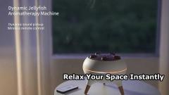 250ml Jellyfish Spray Dynamic Sound Pickup Aroma diffuser with LED color change