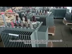 11kv Oil Immersed Distribution Transformer