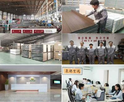 Cina Tavola di rivestimento in WPC per esterni a blocco personalizzato superiore a 18 mm Spessore con superficie di grano di legno in vendita
