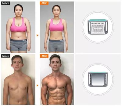 Cina Cryolipolysis che dimagrisce macchina in vendita