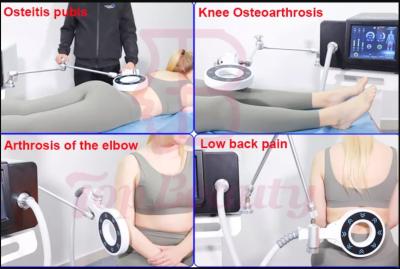 Cina Attrezzatura di fisioterapia di riabilitazione di magnetoterapia di terapia di 360 magnete in vendita