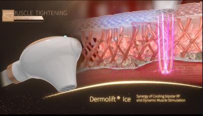 China Multi Function VDHF Roller Rf Skin Tightening Beauty Machine Anti Age Wrinkle for sale